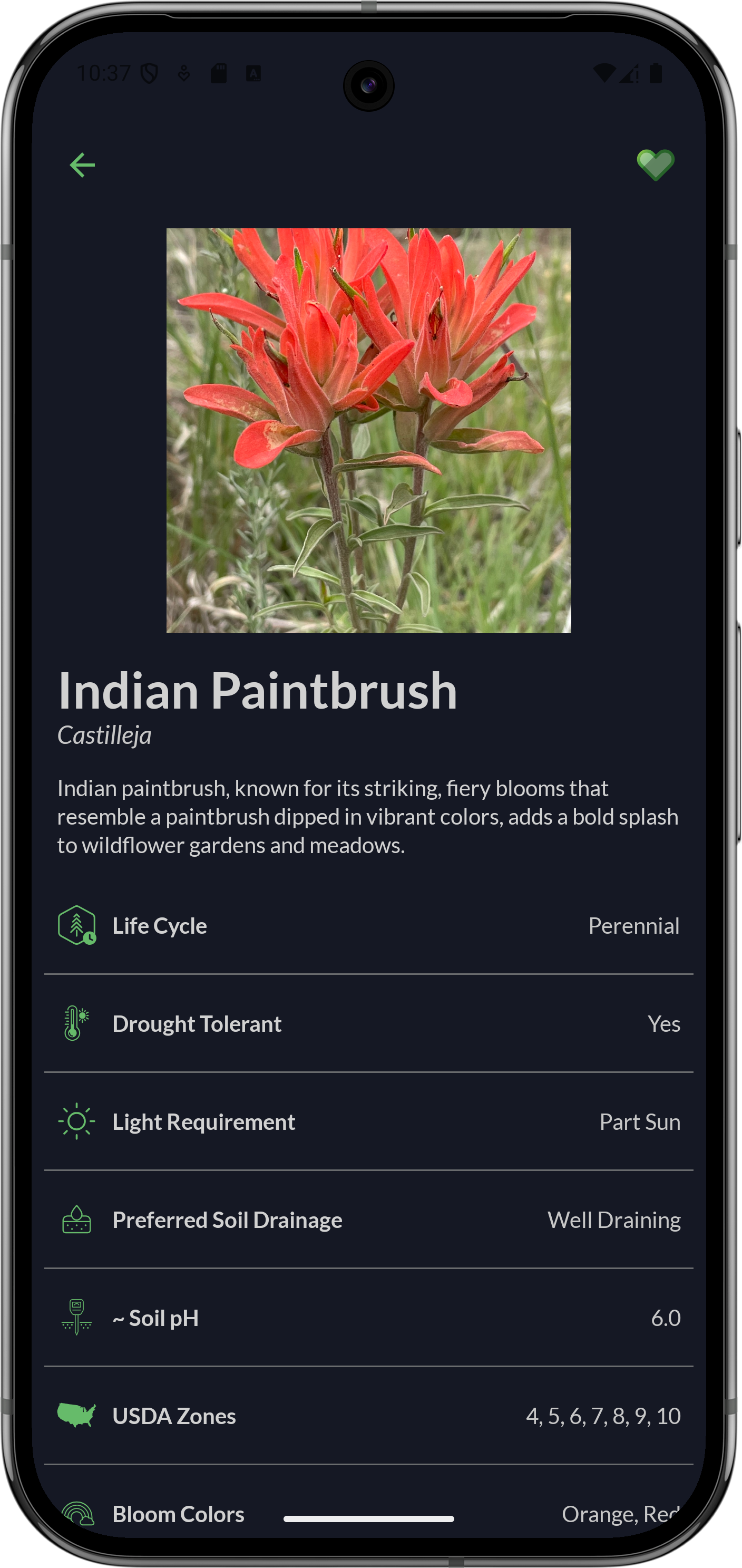 Simple Mobile Development